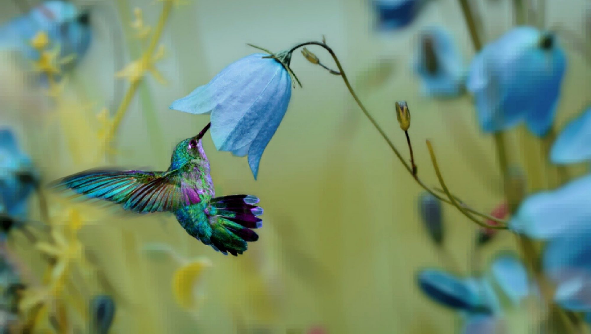 Almost Gone! Special Savings … – Resource Therapy Institute Australia